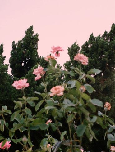 Home - Curated by GIRLS